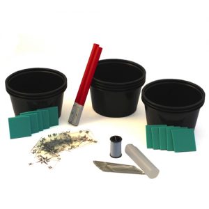 Junior Science: Make a Floating Compass.Making English Fun