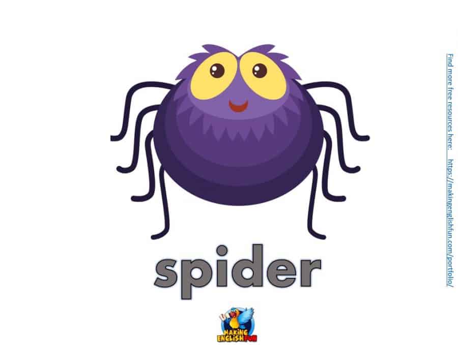 Animal Flashcards.Making English Fun