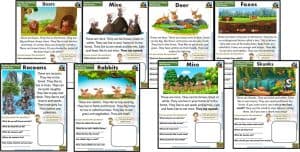 Reading and Writing Comprehension Cards – Forest Animals – Kindergarten ...