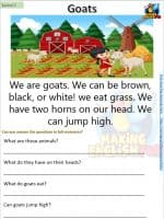 Reading Comprehension and Writing Worksheets – Kindergarten and Primary ...