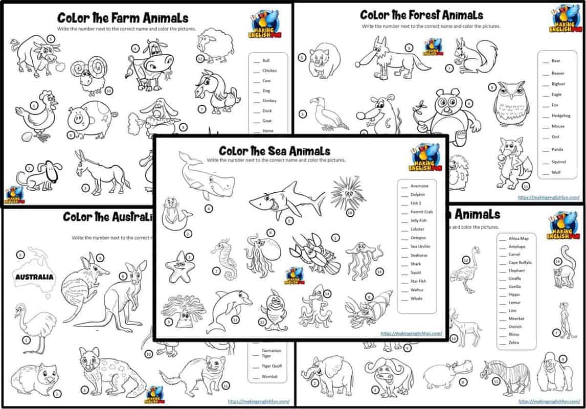 Animals Match and Color WorksheetsMaking English Fun