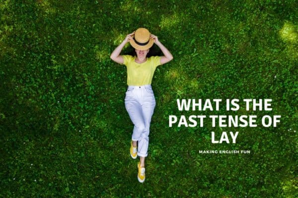 What is the Past Tense of Lay – Making English Fun