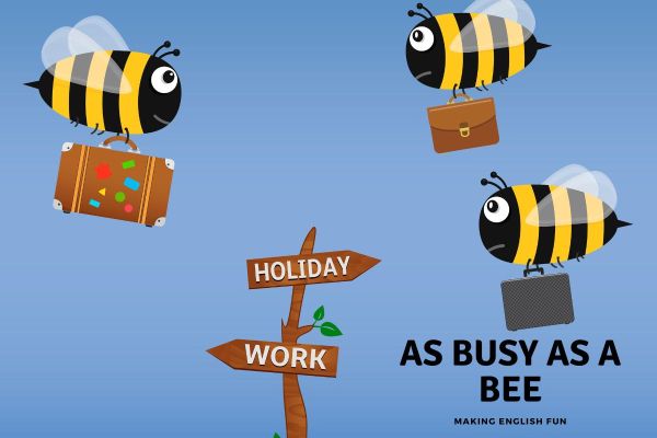 31 Animal Idioms in EnglishMaking English Fun