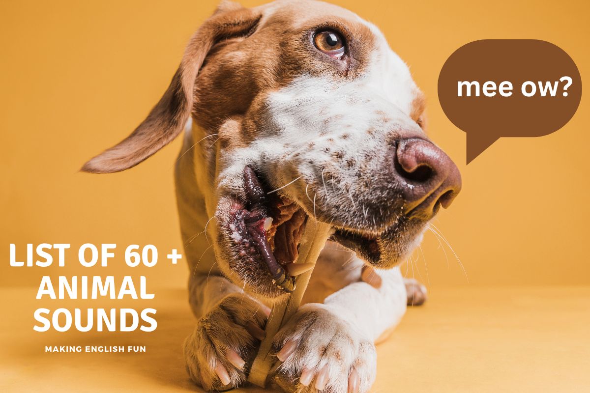 List Of Animal Sounds and Their Spellings.Making English Fun