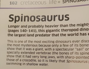 What are Text Features and How to Teach Them?Making English Fun